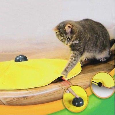 The Kitty Shop – Panic Mouse｜Buy&Ship Hong Kong